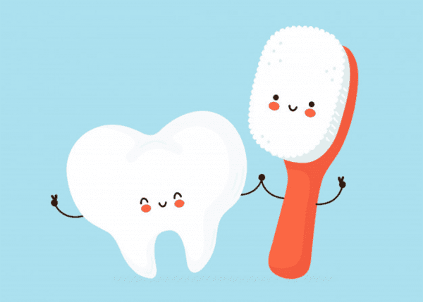 6-Month Dental Check-Up - Ideal Smile Dentistry